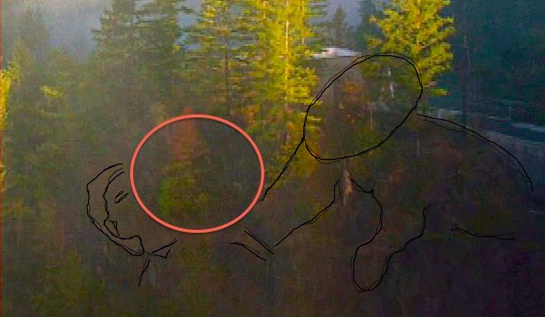 Thresholds & Keys – TWIN PEAKS – Unwrapping the Plastic