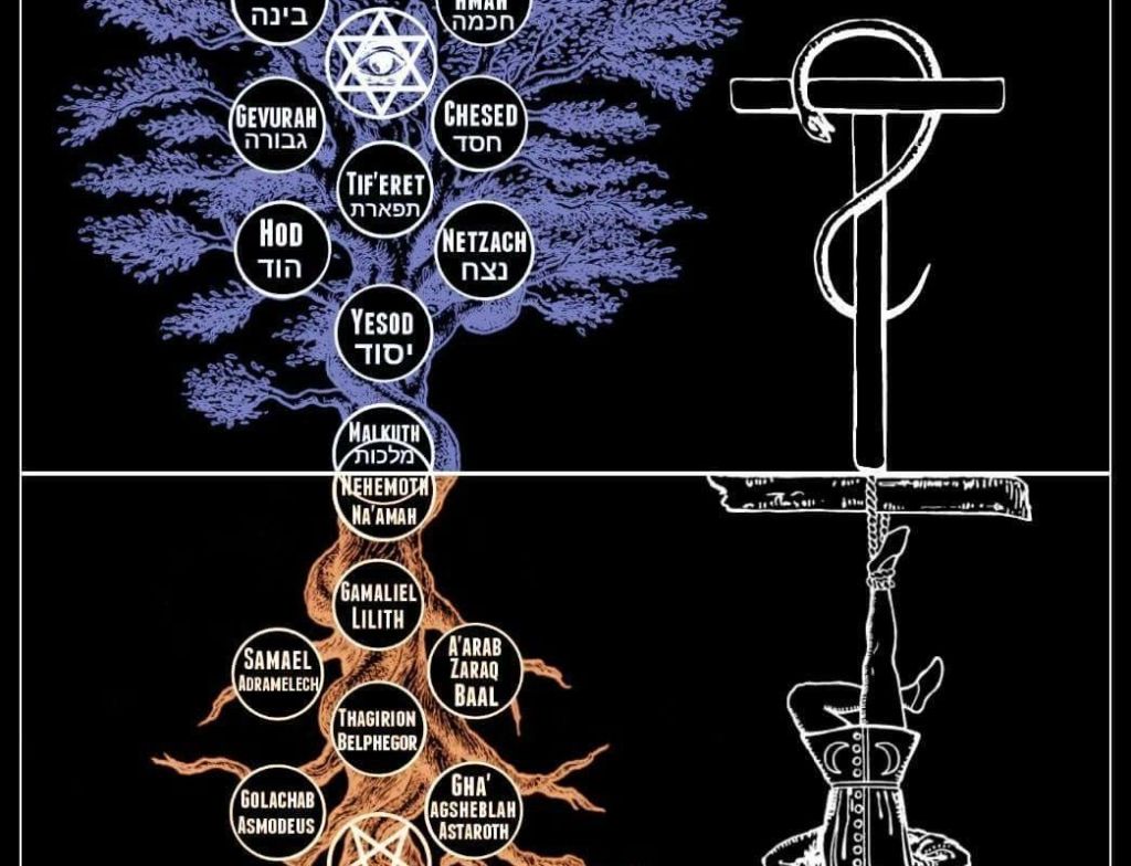 Trees of Life and Death in “Twin Peaks: The Return – TWIN PEAKS ...